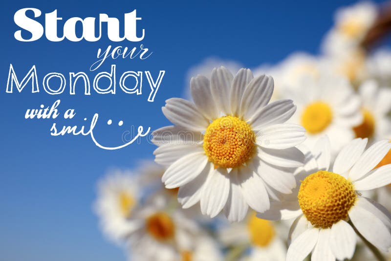 Motivational Quote Start Your Monday with a Smile and Beautiful ... Motivational Quote Start Your Monday with a Smile and Beautiful ...