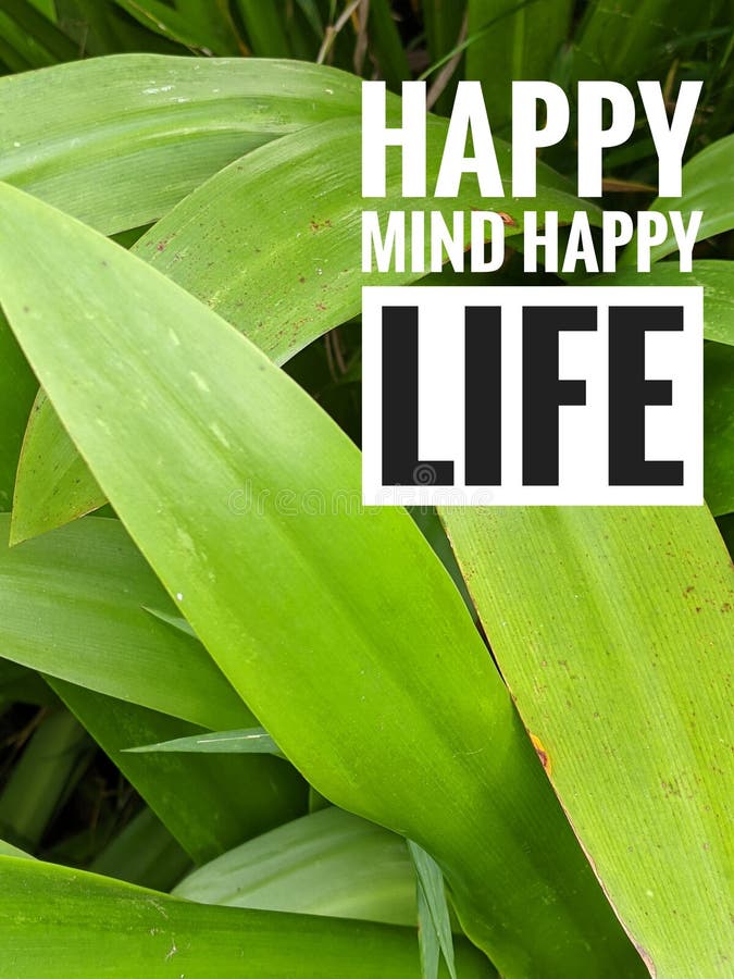 Motivational Quotes Happy Mind Happy Life Stock Image - Image of happy ...