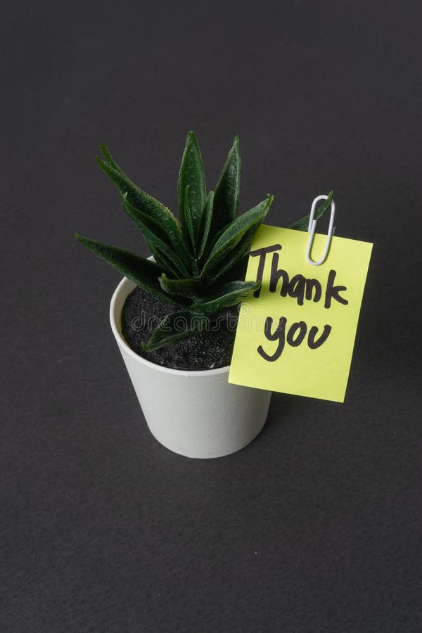 Motivational Words for Personal Development, Thank You, Inspirational ...