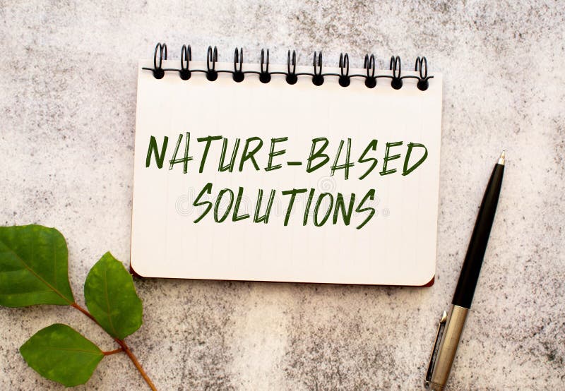 Motivational Words Written on Colorful Paper with a White Base Stock ...