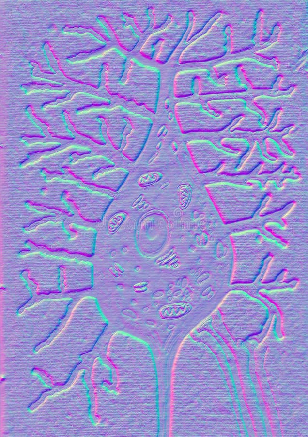 A Motor Neuron Structure, Illustration Stock Illustration ...