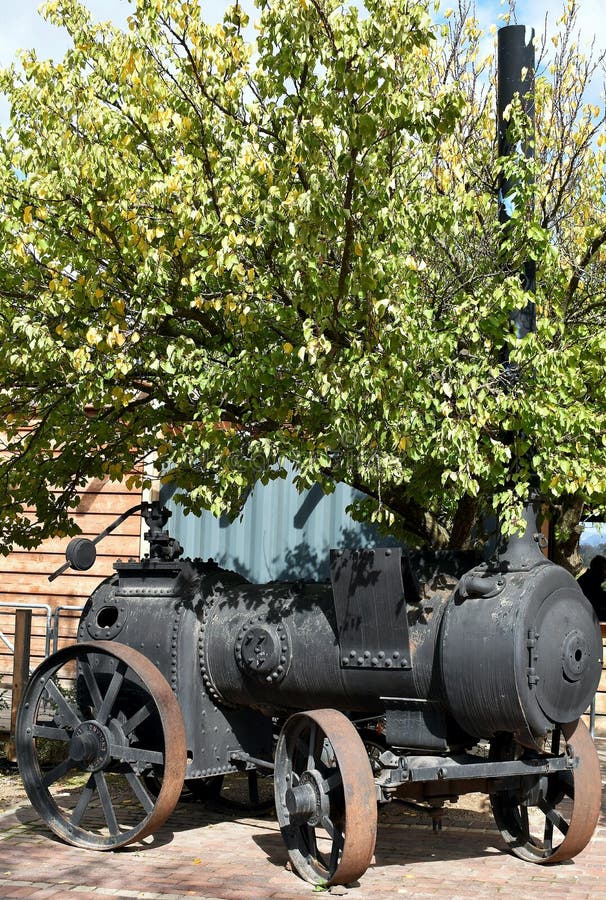 Motor Vehicle, Vehicle, Tree, Plant Picture. Image: 117789080