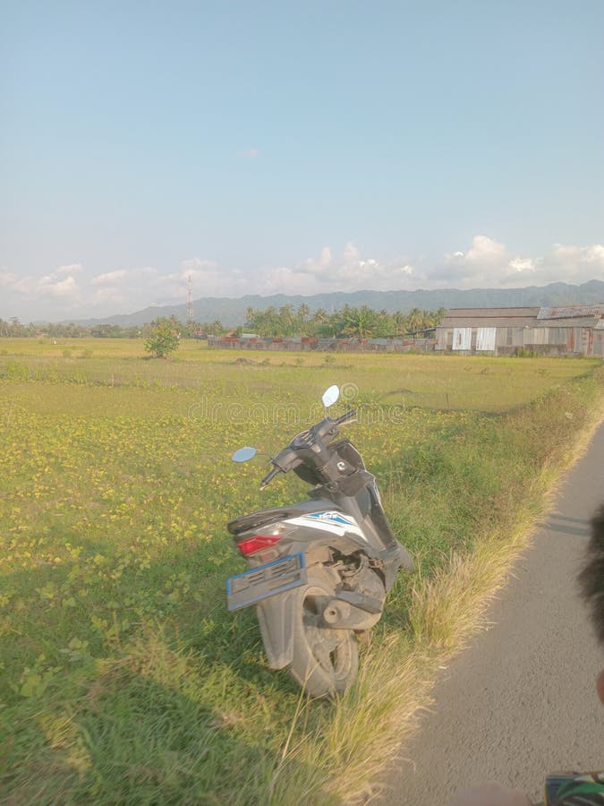 A Motorbiked Was Parked on the Edge of the Rice Fields, Several Fields ...