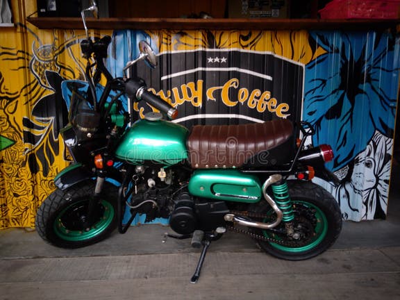 Motorcycle Custom Monkey editorial photography. Image of gorila - 221994117