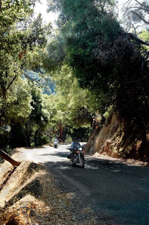 Motorcycle riding stock image. Image of forest, motorcycle - 621887