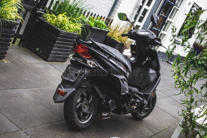 Motorcycle Sym Orbit 3 in Garden Editorial Stock Photo - Image of ...