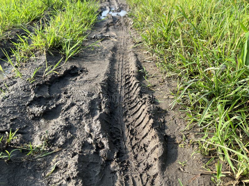 Motorcycle Track on Wet and Muddy Ground Stock Image - Image of muddy ...