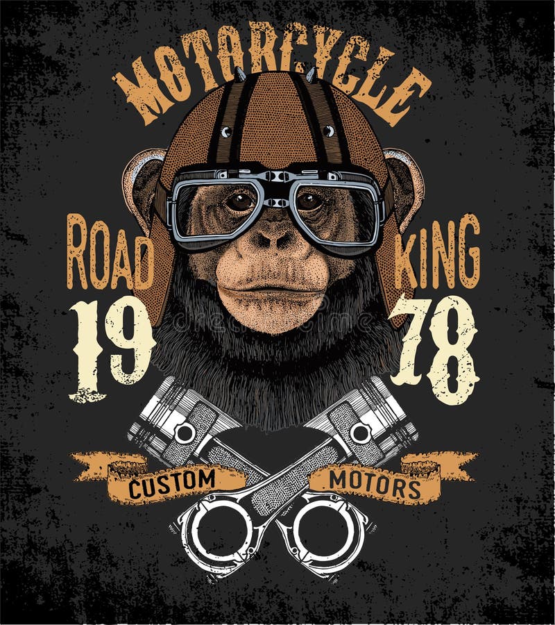 Riders Monkey Stock Illustrations – 15 Riders Monkey Stock ...