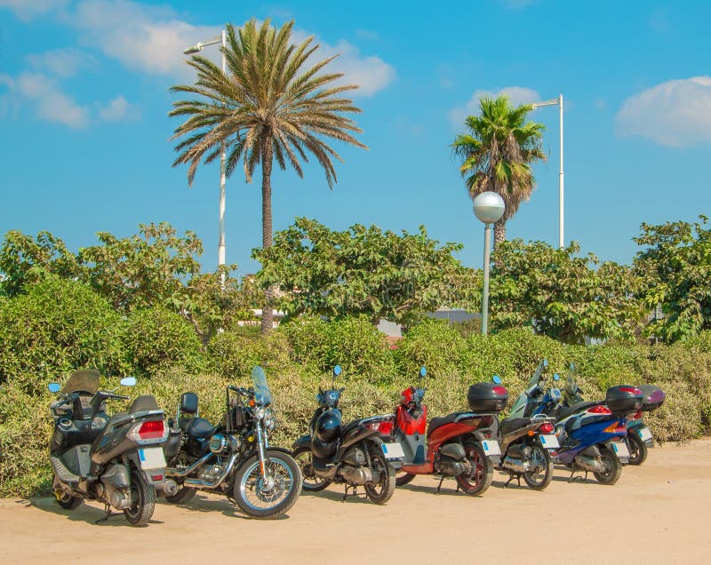 Two Men on Motorcycles in Palm Trees on a Tropical Island Stock Image ...