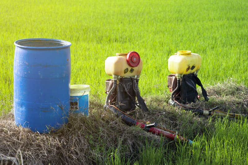Motorized Backpack Atomizer Sprayer on the Farmer`s Rice Field ...