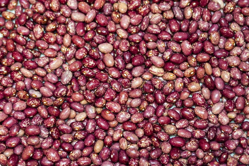 Mottled beans stock image. Image of plant, pink, diet - 58718701