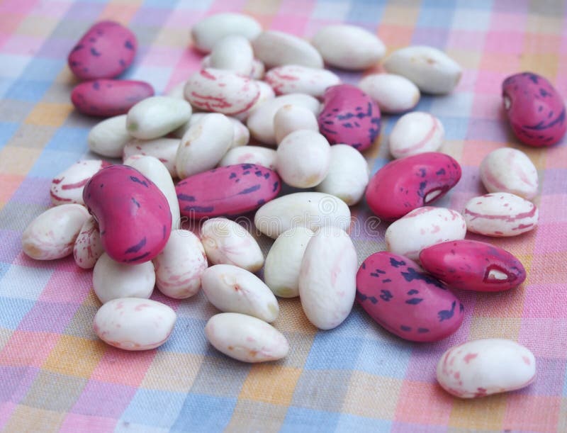 Mottled beans stock image. Image of cook, beans, agriculturel - 76412841