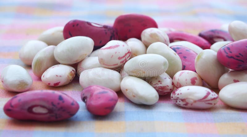 Mottled beans stock image. Image of garden, beans, natura - 76412929