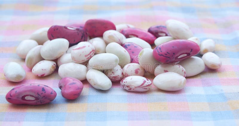 Mottled beans stock photo. Image of beans, cook, bean - 76412972