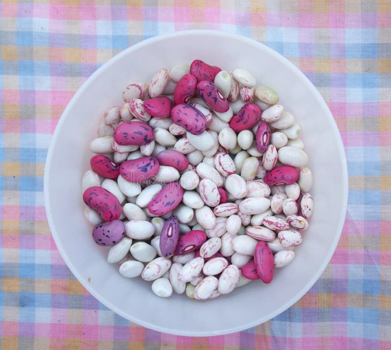 Mottled beans stock photo. Image of garden, nature, cook - 76413194
