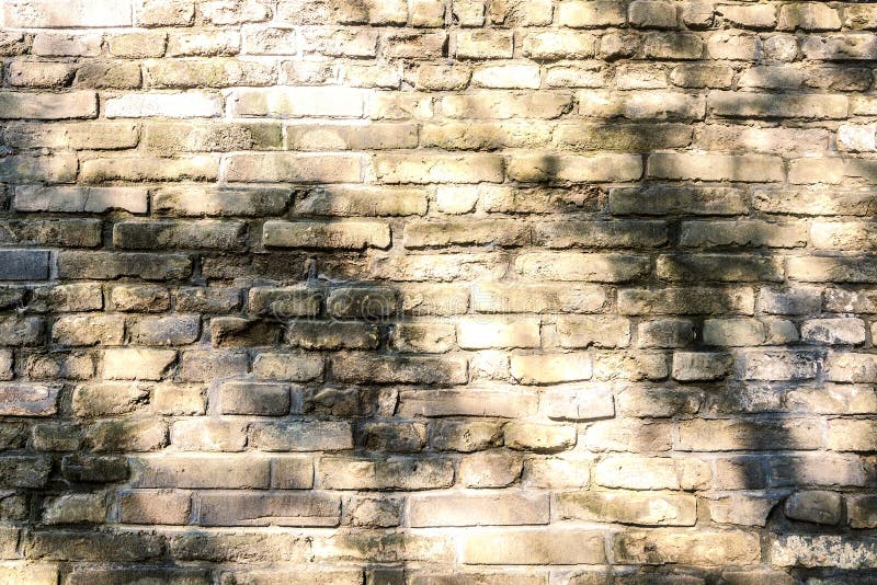 Mottled Blue Brick Wall Texture Background of Tree Shadow. Stock Photo ...