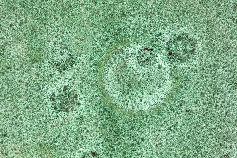 Mottled Green Ceramic Background Stock Photo - Image of texture ...
