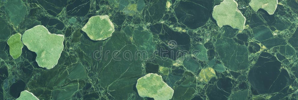 Mottled Green and Gray Texture with Irregular Patterns and Deep Shadows ...