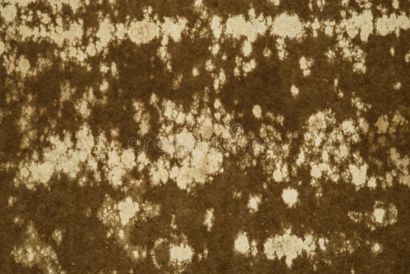 Mottled paper stock photo. Image of horizontal, crumpled - 76898208