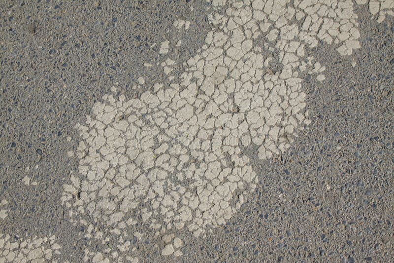 Mottled Reticular Trace on the Asphalt Road Stock Image - Image of ...