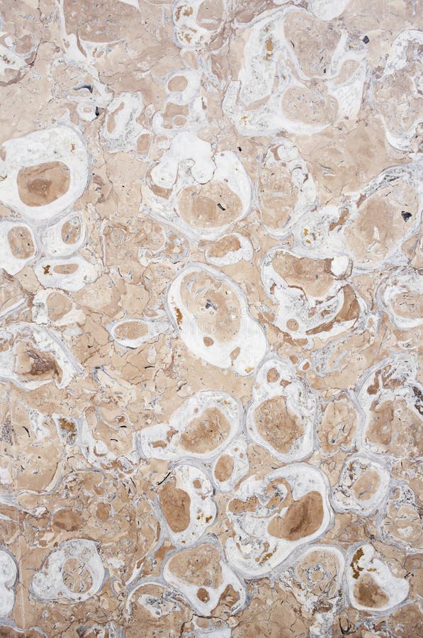 Mottled tiles stock photo. Image of pattern, closeup - 52999970