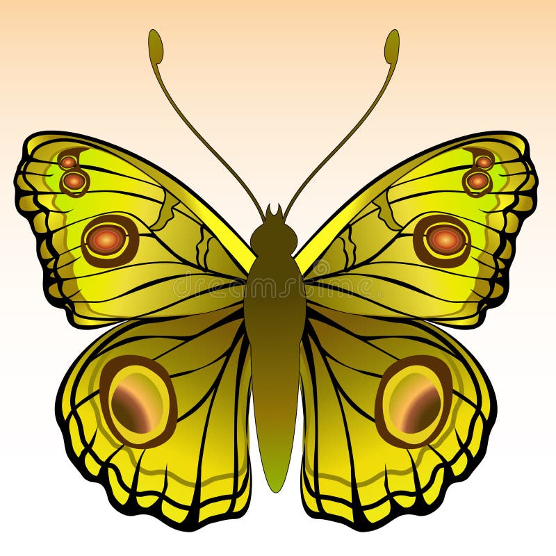Wektorowa motyl ilustracja ilustracja wektor. Ilustracja złożonej z ... Wektorowa motyl ilustracja ilustracja wektor. Ilustracja złożonej z ...