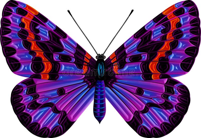 Motyl ilustracja wektor. Ilustracja złożonej z biodiversity - 269768
