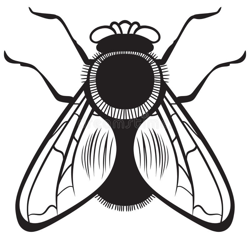 Mouche de silhouette illustration de vecteur. Illustration du ...