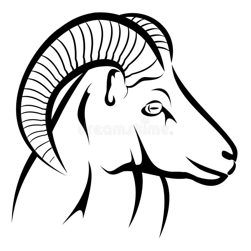 Outline Mouflon Vector Icon. Isolated Black Simple Line Element ...
