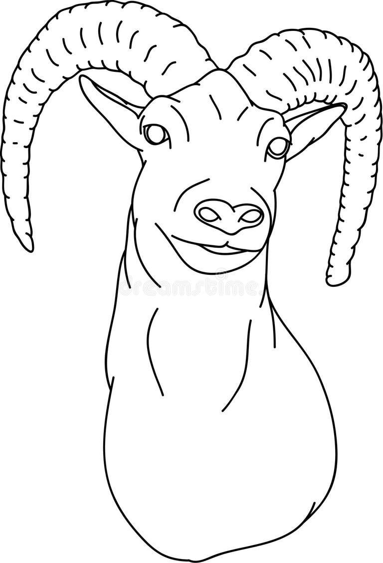 Mouflon Stock Illustrations – 1,233 Mouflon Stock Illustrations ...
