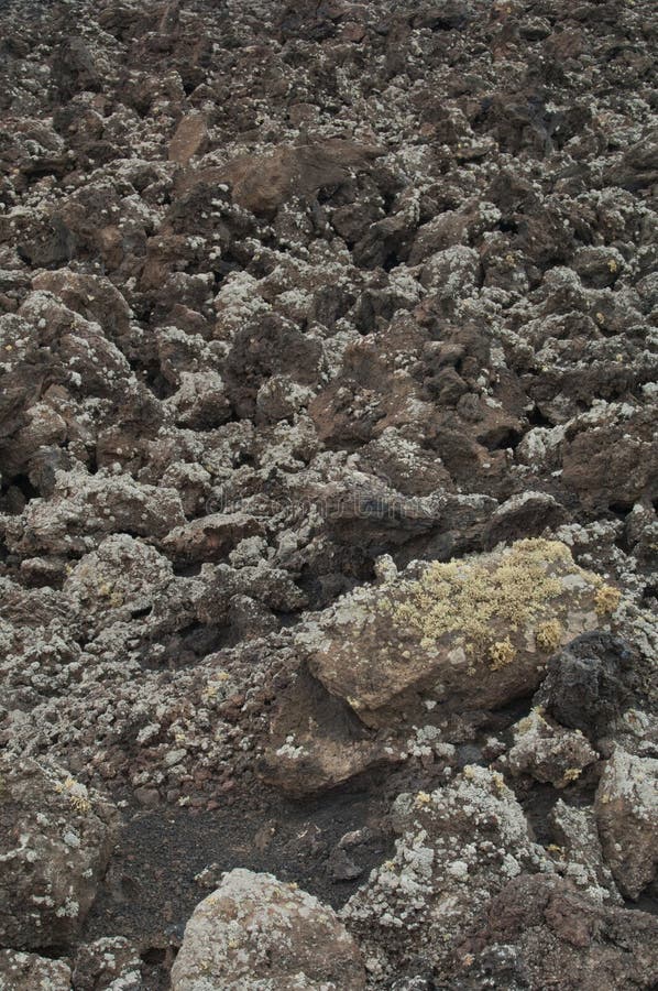 Les Lichens Sur Une Lave Basculent, Du Volcan De L'Etna Image stock ...