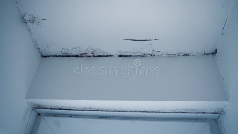 Mould and Damp in a House 4K Stock Video - Video of breathing, mildew ...