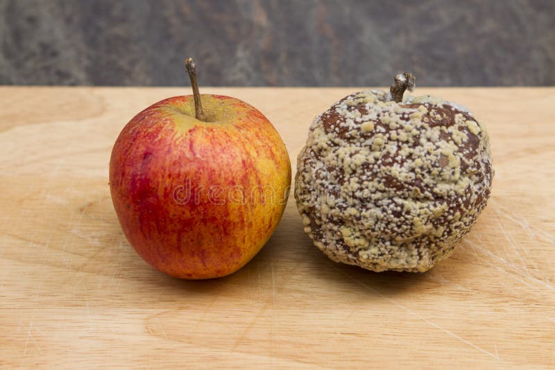 260 Decaying Apple Stock Photos - Free & Royalty-Free Stock Photos from ...