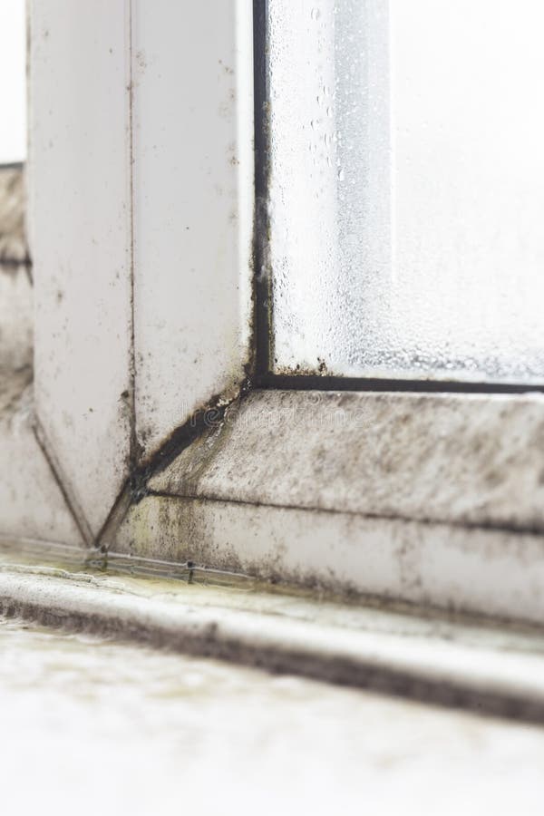 Mould, Mildew and Condensation on White Plastic Pvc Window Frame and ...