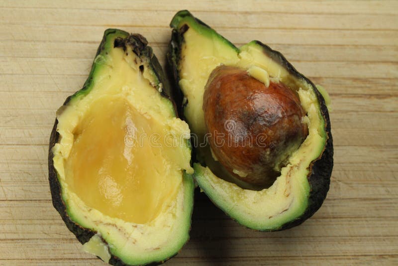 Mouldy avocado stock photo. Image of decay, revulsion - 92588576
