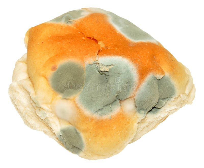 Mouldy White Bread Rolls Stock Photos - Free & Royalty-Free Stock ...