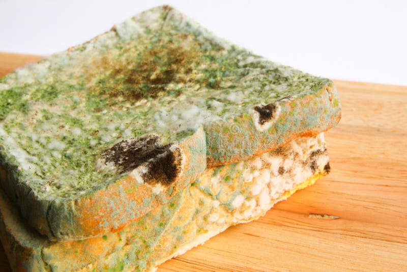Mouldy bread - Series 3 stock photo. Image of bread, moldy - 32141268