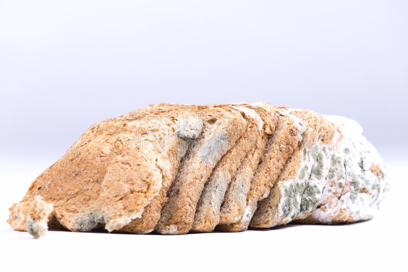 Mouldy bread stock image. Image of organic, bake, mycelium - 58332805