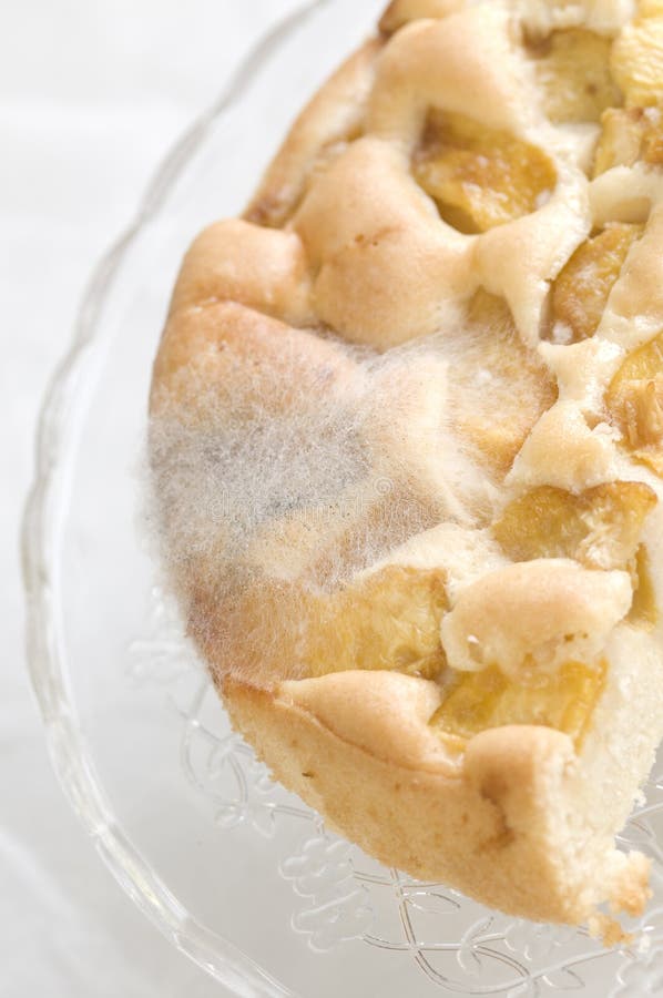Mouldy cake stock image. Image of moulding, food, moldy - 17110851
