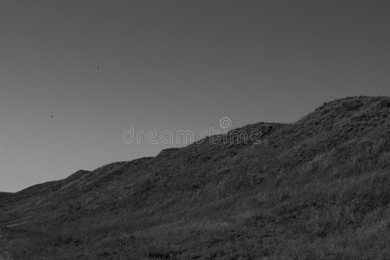 Mound and flying birds stock photo. Image of steppe, birds - 83669930