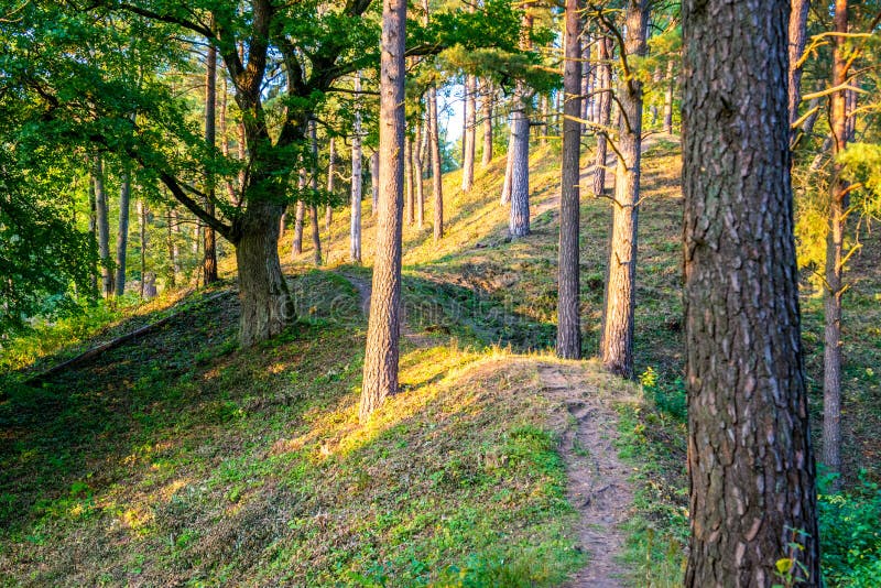 Mound and Forest, Lithuania Stock Image - Image of trunk, background ...