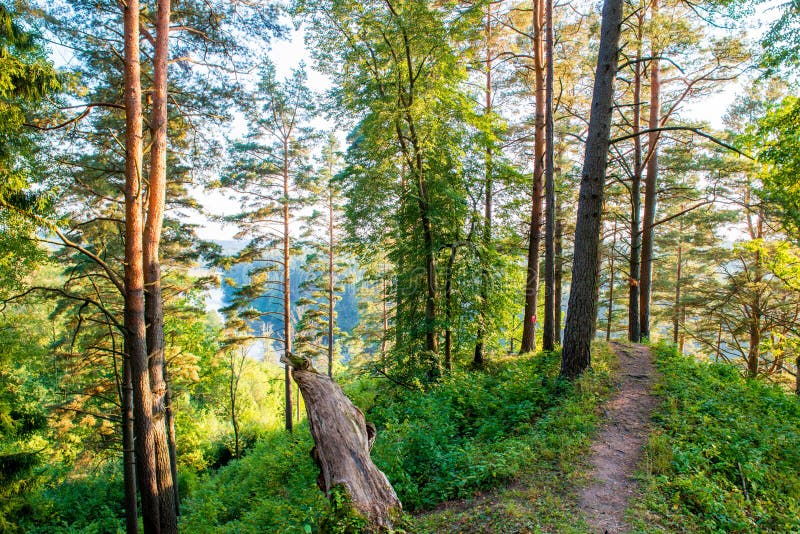 221 Bare Mound Stock Photos - Free & Royalty-Free Stock Photos from ...