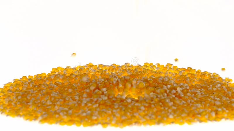 Mound of Grain Feed Corn. Close Up. White. Slow Motion Stock Video ...