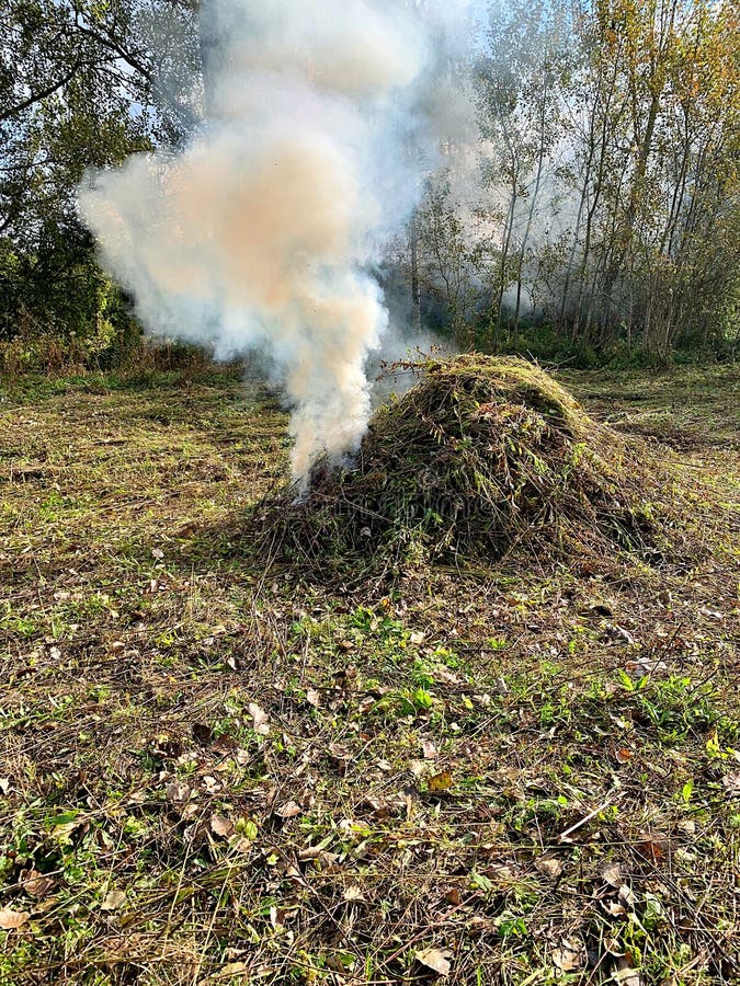 Mound with Mowed Grass, Campfire of Grass Collected on the Plot, Smoke ...