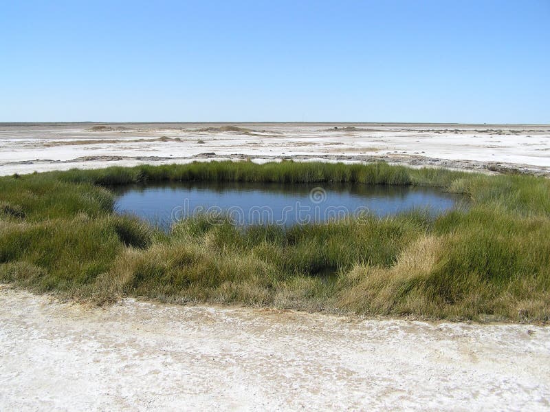 Mound Spring stock image. Image of green, mound, extreme - 1816791