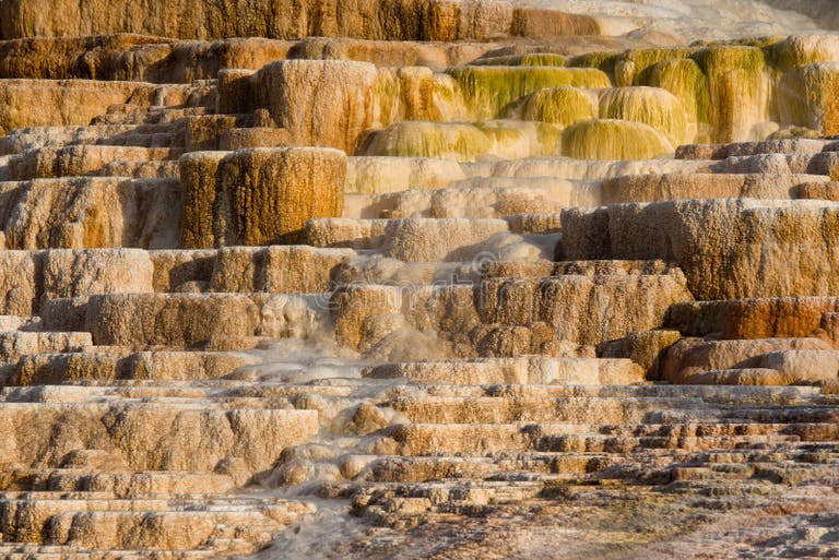 Mound Spring at Mammoth Hot Springs Stock Photo - Image of yellowstone ...