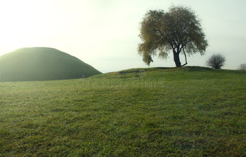 Mound and a tree stock photo. Image of serenity, landscape - 47257630