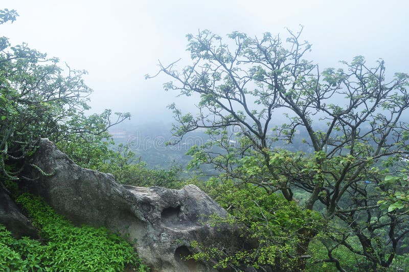 Mount abu in monsoon stock image. Image of scenic, landscape - 26062511