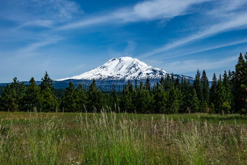 Mount Adams, Washington State Stock Photo - Image of landscape, grass ...