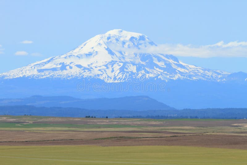 Mount Adams, Washington, U.S.A. Stock Image - Image of mount, farm ...